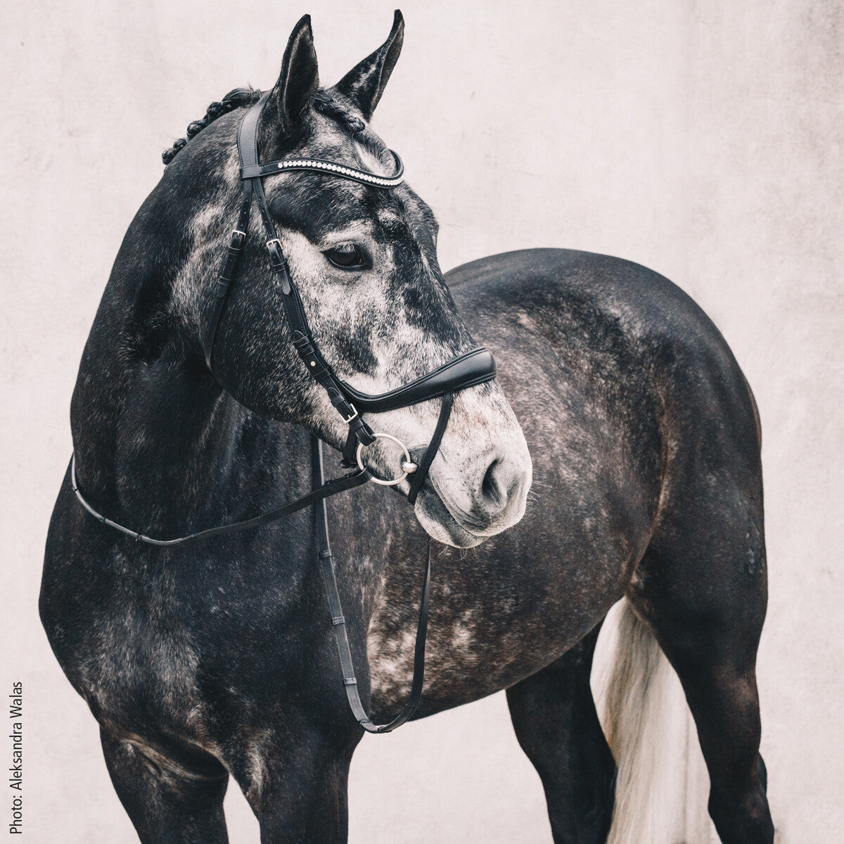 CARING FOR YOUR BRIDLE - leather care guide – Chaballo