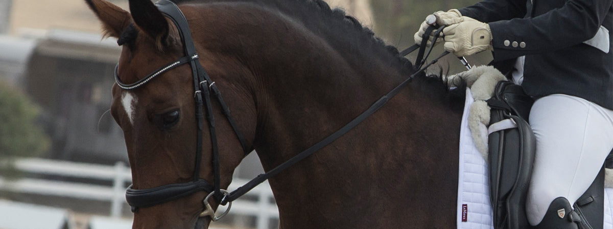 The reins you need to know about – Chaballo
