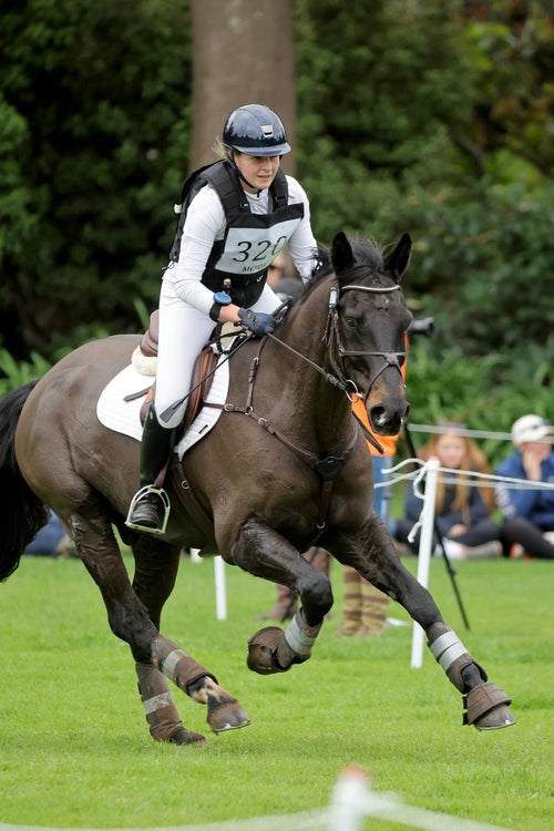 Samshield Configurator – Chaballo