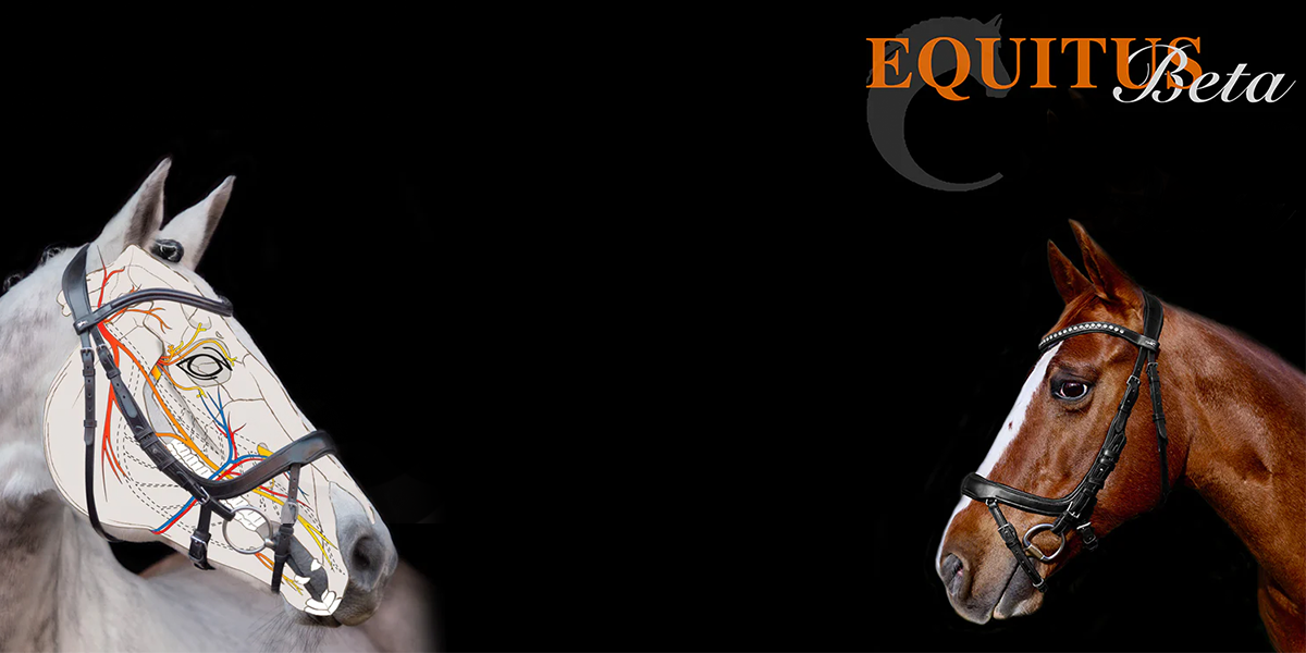 Chaballo Equestrian Gear & Fashion