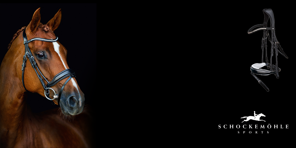 Chaballo Equestrian Gear & Fashion