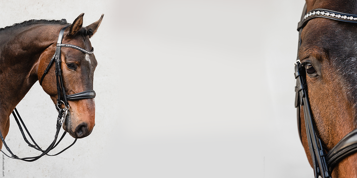 Chaballo Equestrian Gear & Fashion