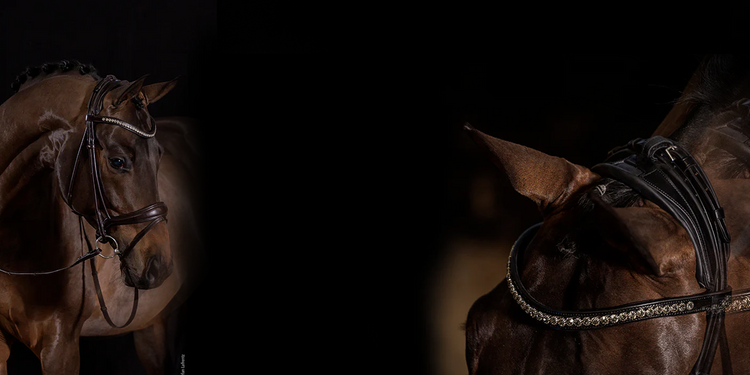 Chaballo Equestrian Gear & Fashion